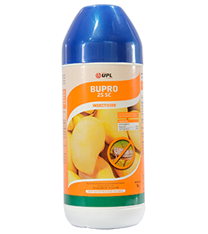 Welcome to the Official Website S&P Enterprises, Inc